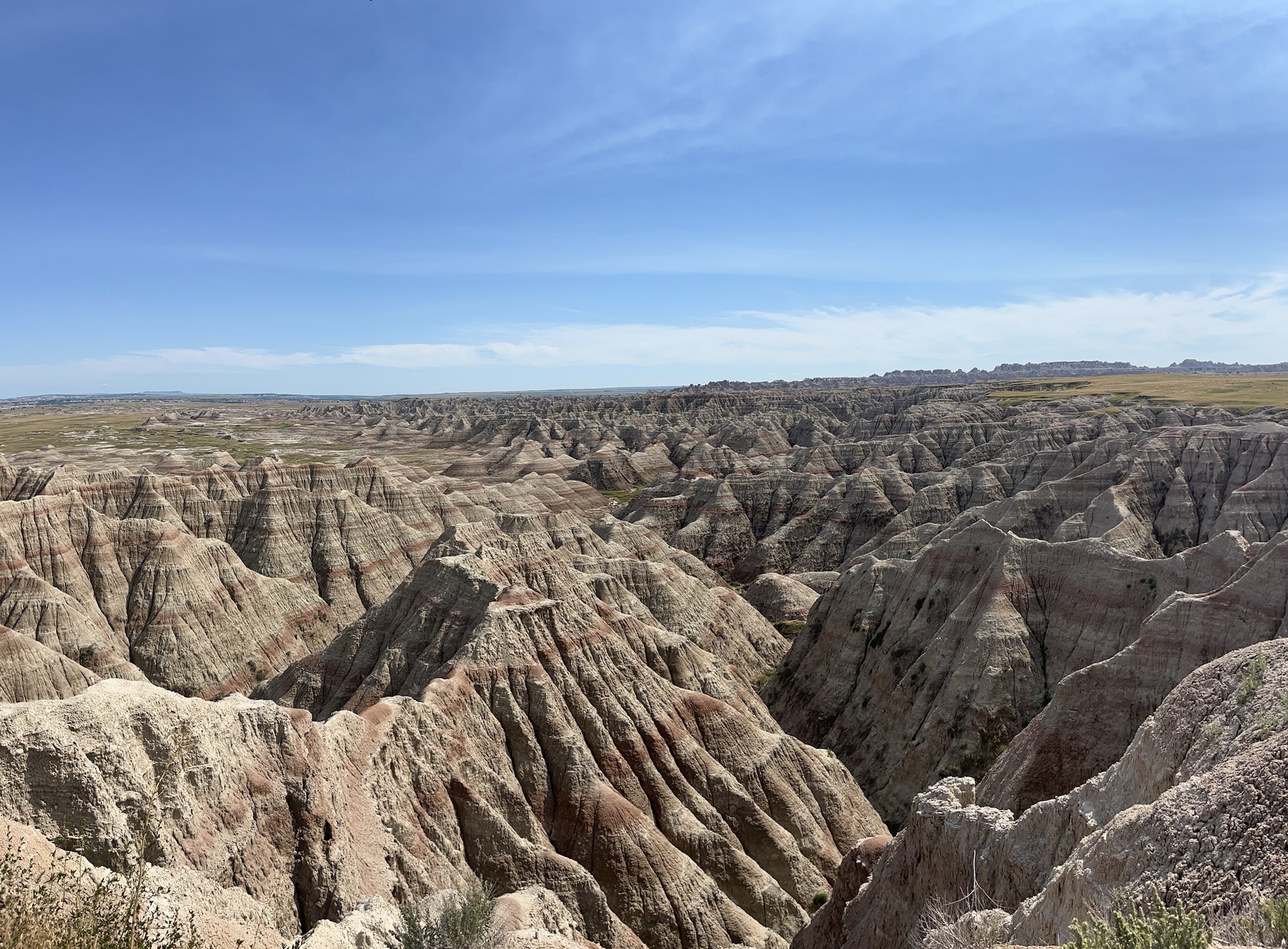 For all the cows – Bearded Gang